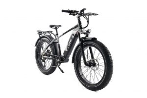 Rize E-Bike Review